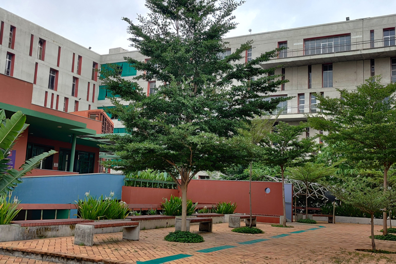 Navrachana University